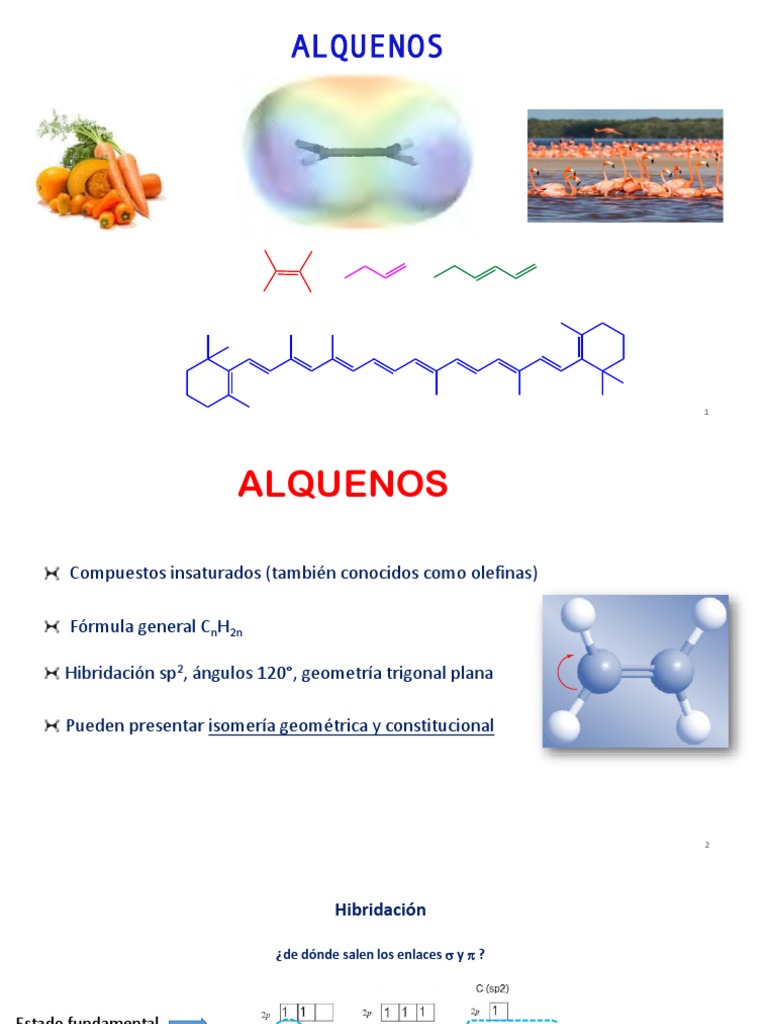 Guía Completa de Alquenos | PDF | Isómero | Alqueno