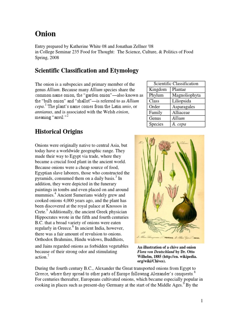 Allium | PDF | Onion | Garlic
