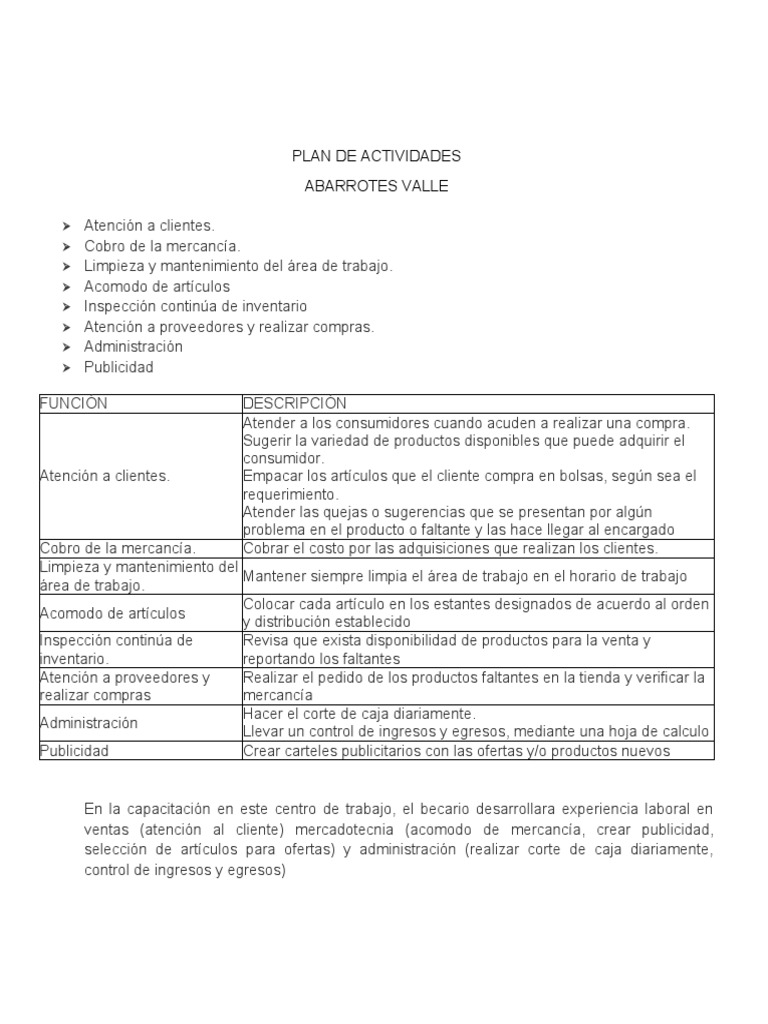 Plan de Actividades | PDF