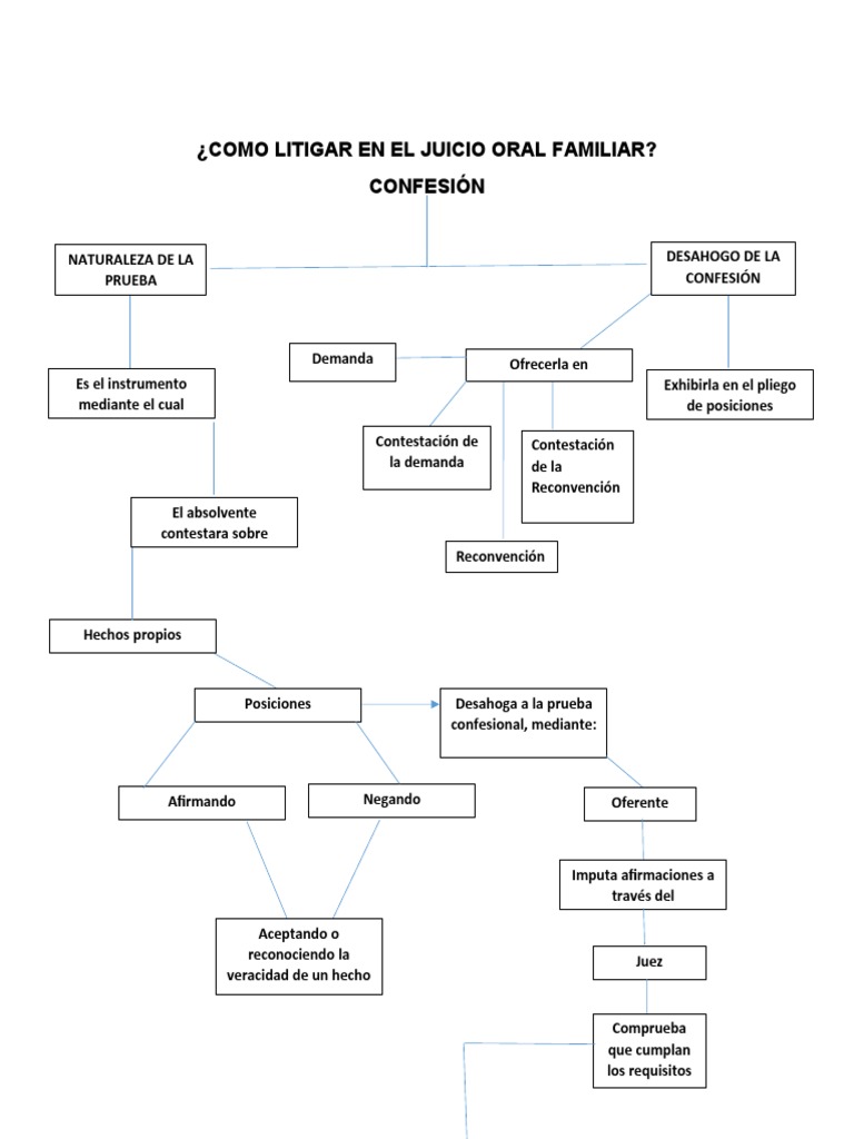 Como Litigar en El Juicio Oral Familiar | PDF | Divorcio