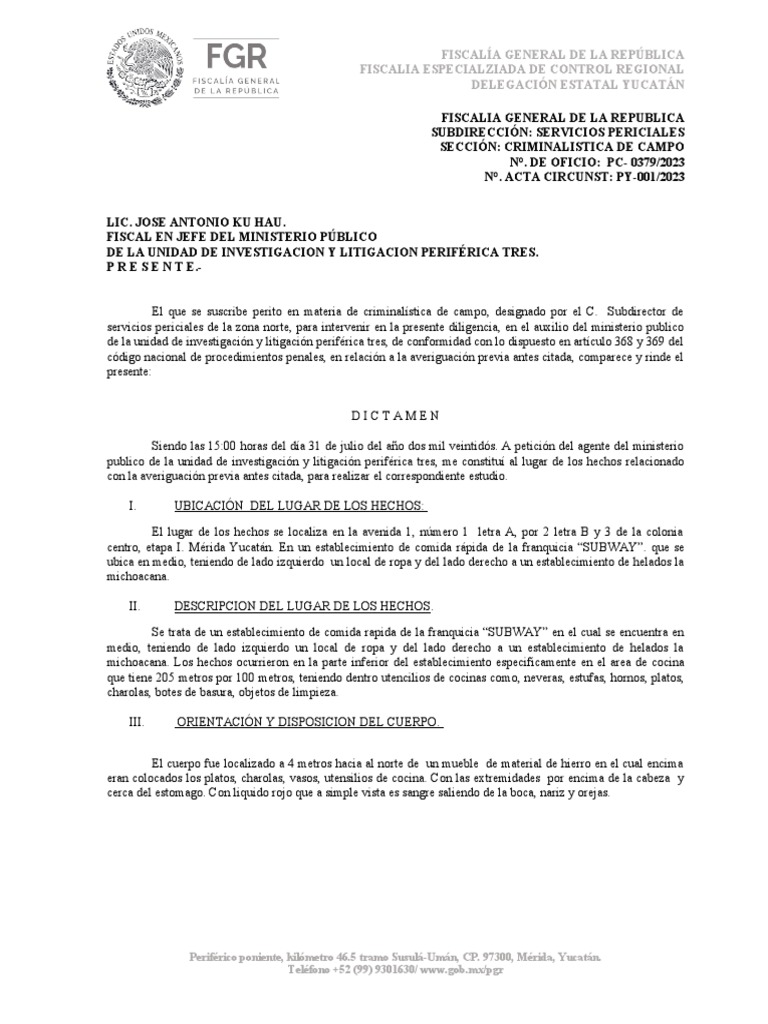 Dictamen Pericial | PDF | Estufa de cocina