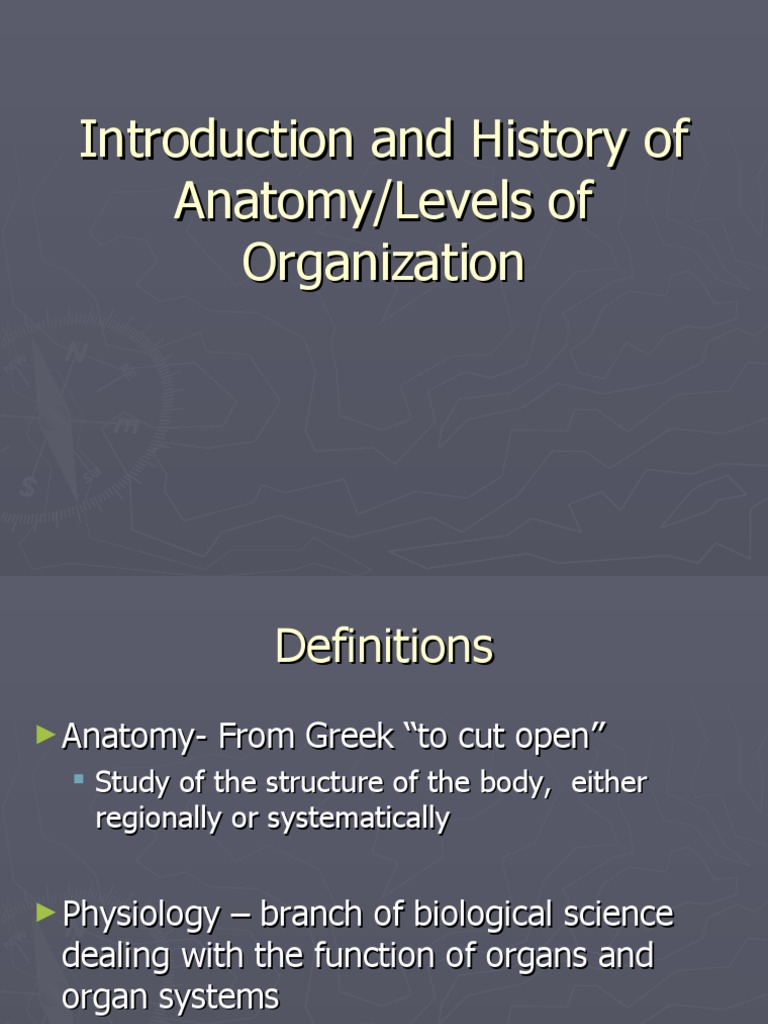 Introduction and History of Anatomy | PDF | Health Care | Medical ...