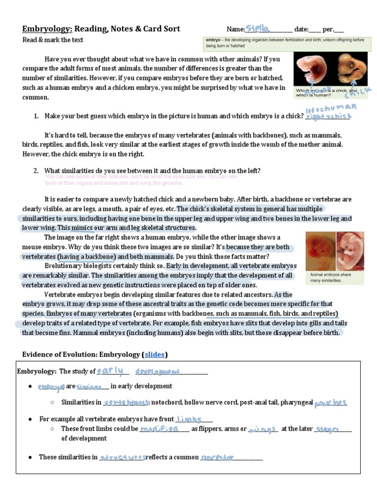 Embryology-Reading, Notes & Card Sort-Remote-Ulv | PDF | Biology ...