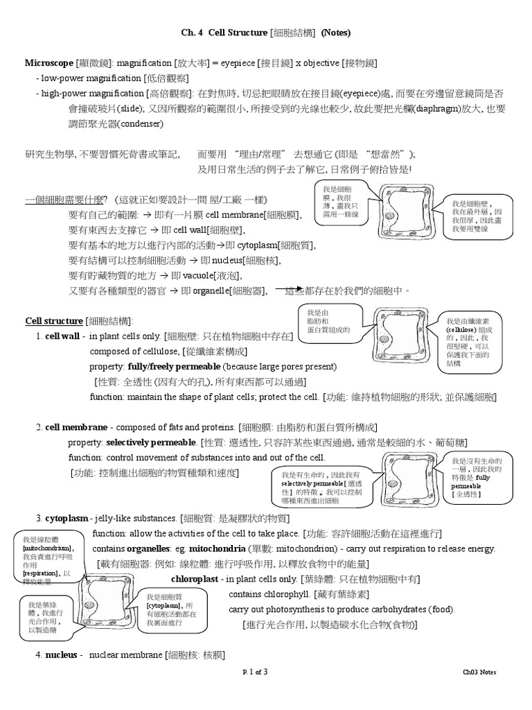 Notes-Ch04 Cells | PDF