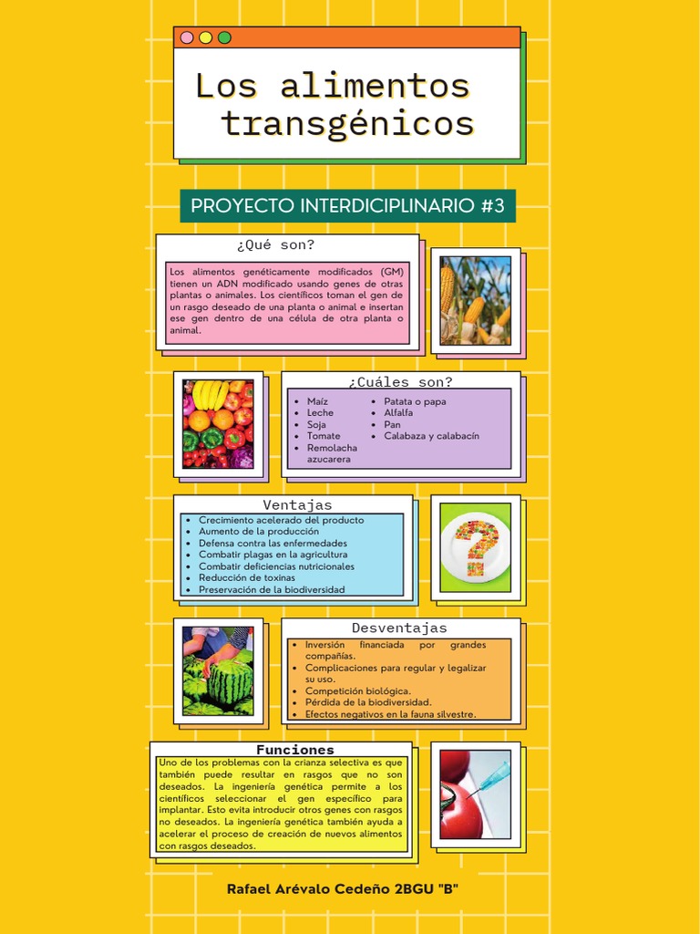 Los Alimentos Transgénicos | PDF