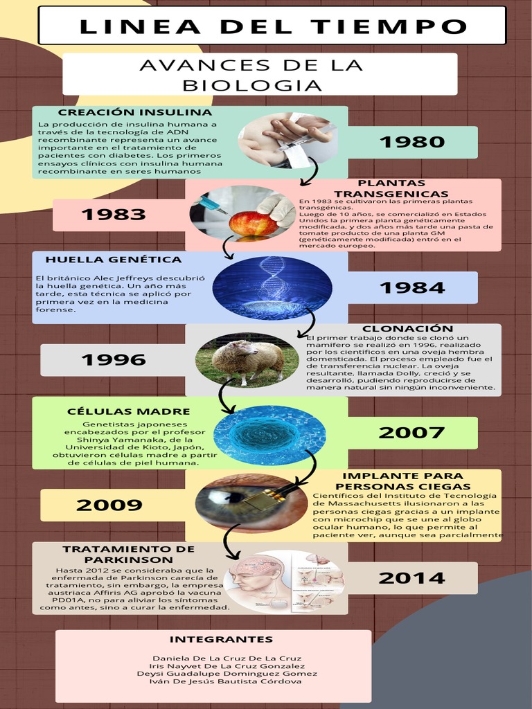 Infografia Linea Del Tiempo Timeline Historia Cronologia Empresa Profesional Multicolor ...