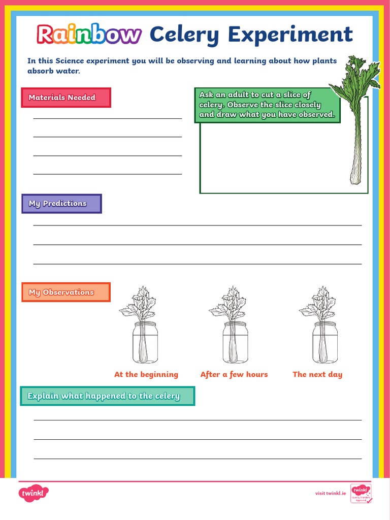 Rainbow Celery Experiment | PDF
