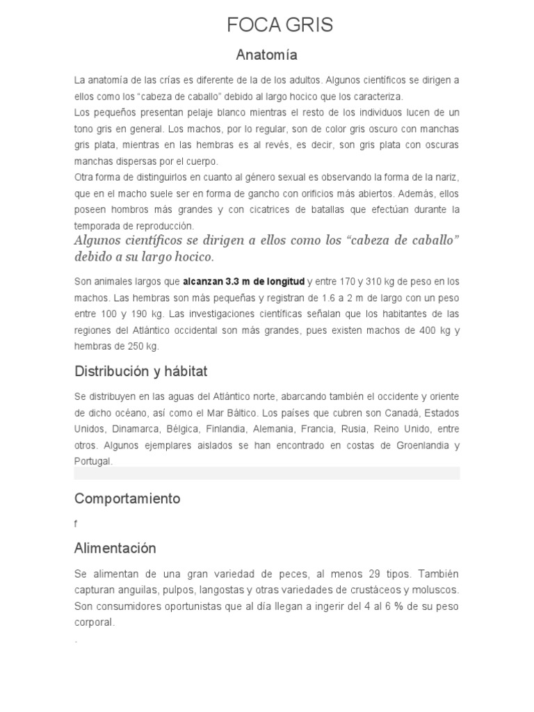 Anatomía y Hábitos de la Foca Gris | PDF | Zoología