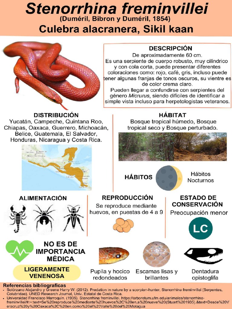 Culebra Alacranera | PDF