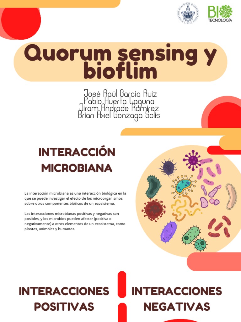 Quorum Sensing y Bioflim, Equipo 5. | PDF | Biopelícula | Las bacterias