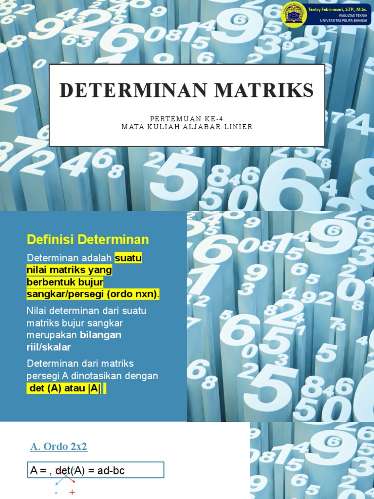 Determinan Matriks | PDF