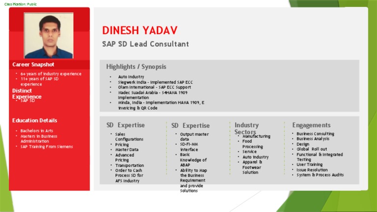 One Pager Template Profile | PDF | Information Technology | Computing