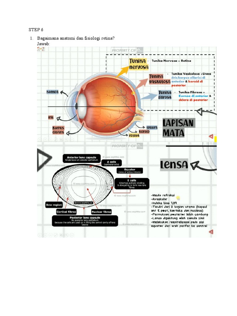 Li Widha LBM 2 Mata | PDF | Vascular Endothelial Growth Factor | Human Eye