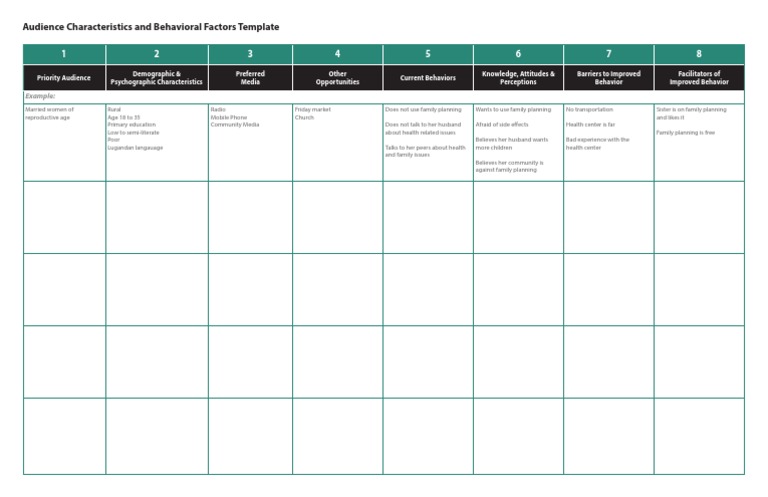 Audience Behavior Analysis Template | PDF