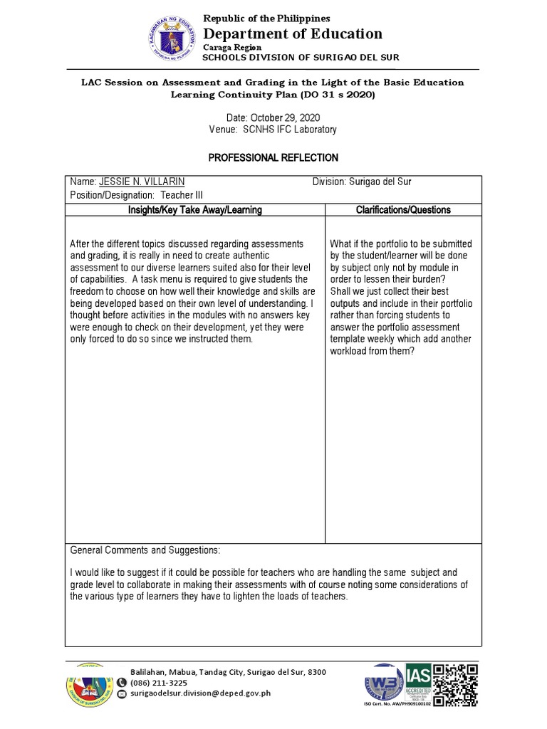 Professional Reflection | PDF | Learning | Cognitive Psychology