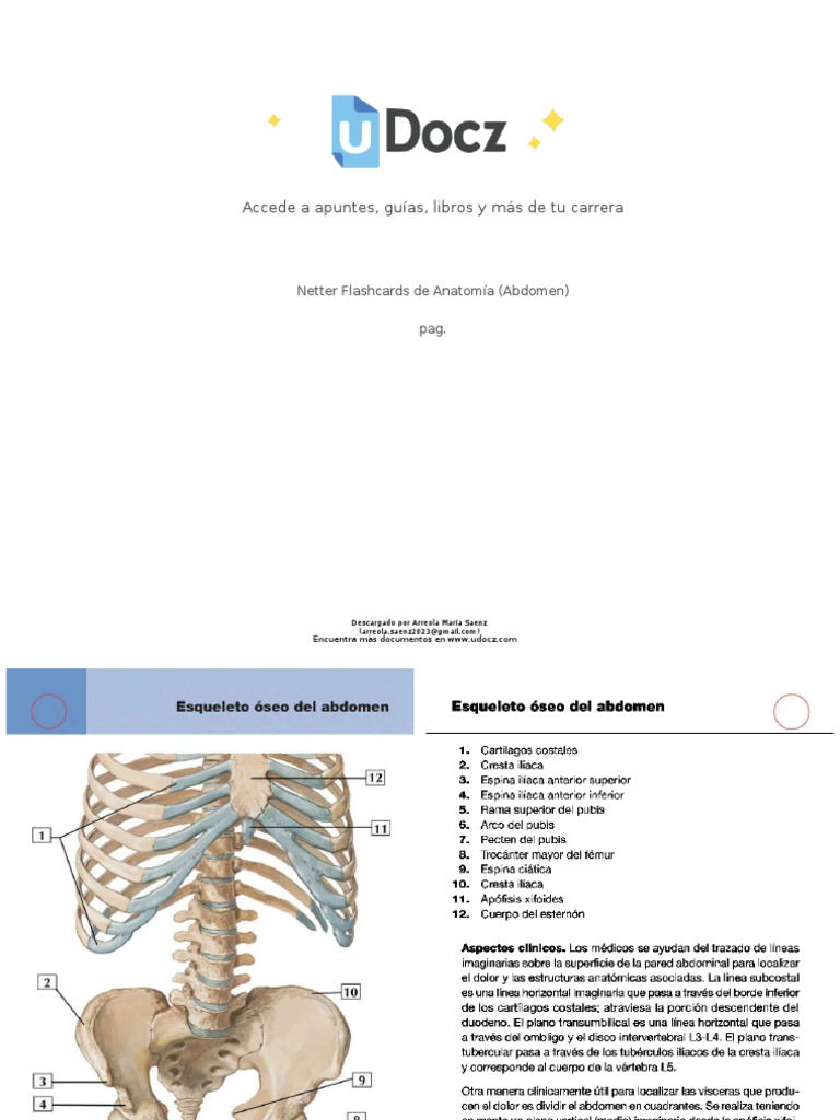 Netter Flashcards Pdf
