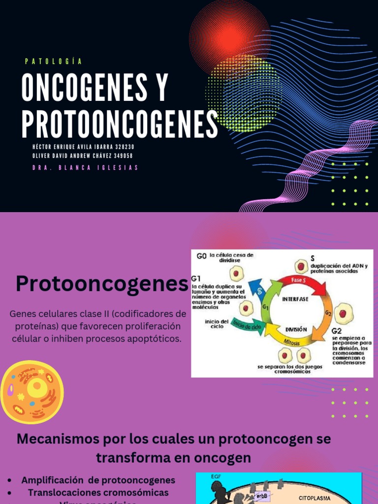 Oncogenes y Protooncogenes en Cáncer | PDF | Oncogen | Quinasa