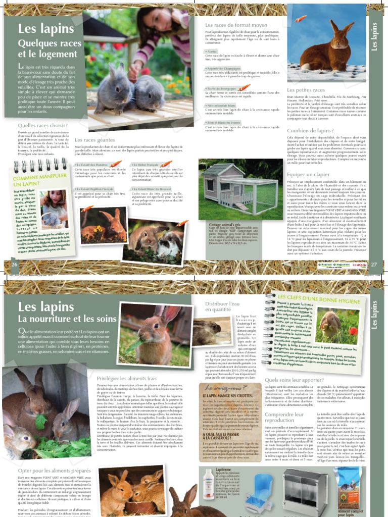 Élevage et races de lapins | PDF | Lapin | Céréale
