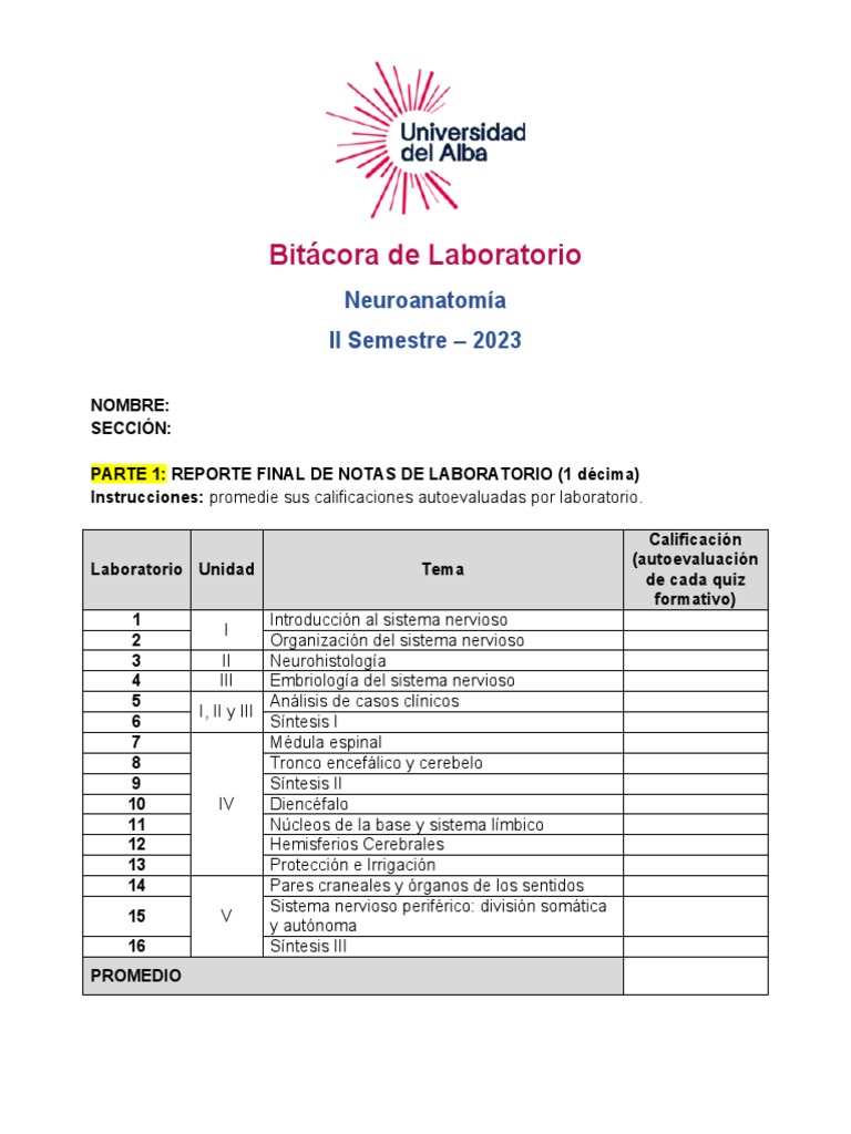 Bitácora de Laboratorio - NEUROANATOMÍA - 2023 | PDF | Sistema nervioso | Cerebro