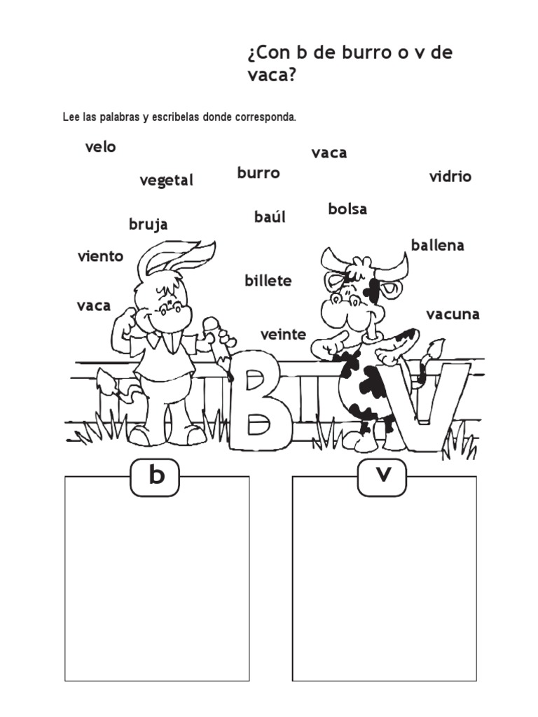 ¿Conbdeburroovde Vaca?: Velo Vegetal Bruja Burro Baúl Vaca Bolsa Vidrio ...
