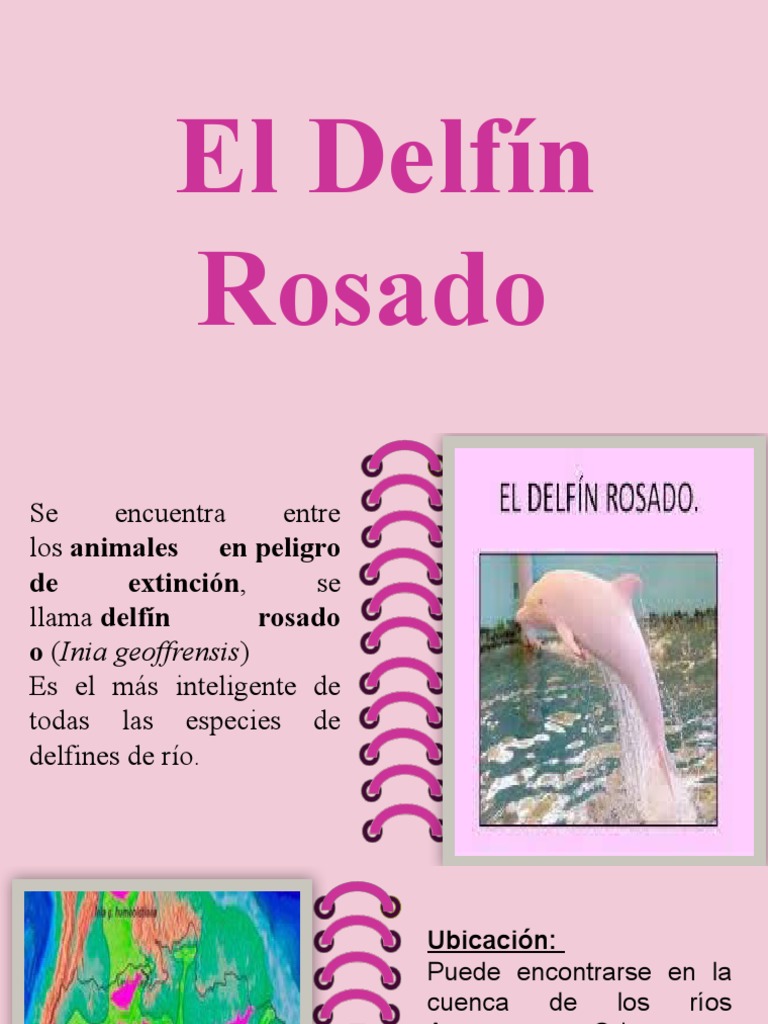 Características del delfín rosado | PDF