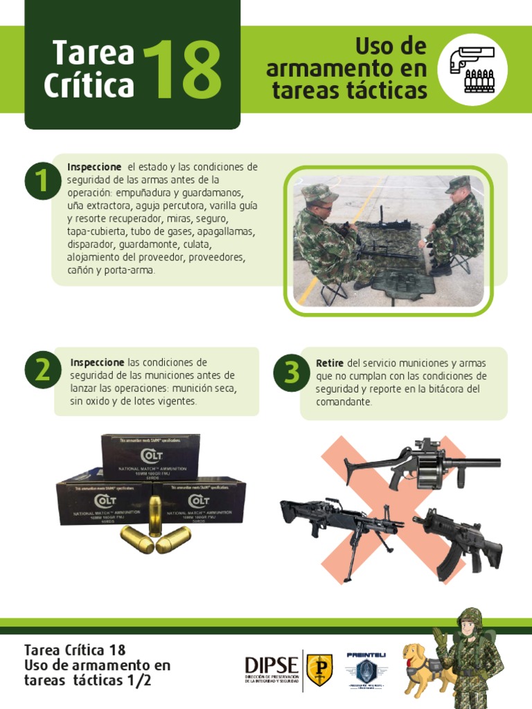 Tarea Critica 18 Armamento en Tareas Tácticas | PDF | Vuelo | Equipo
