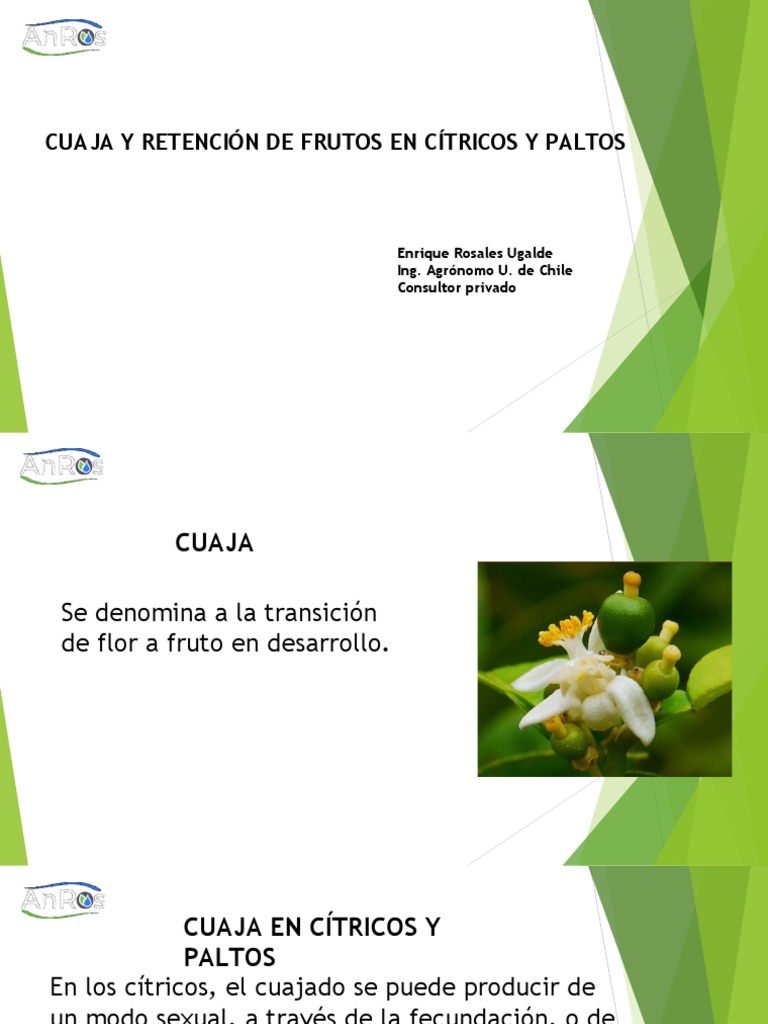Cuaja y Retención de Fruta en Paltos y Cítricos | PDF | Hormona Vegetal ...