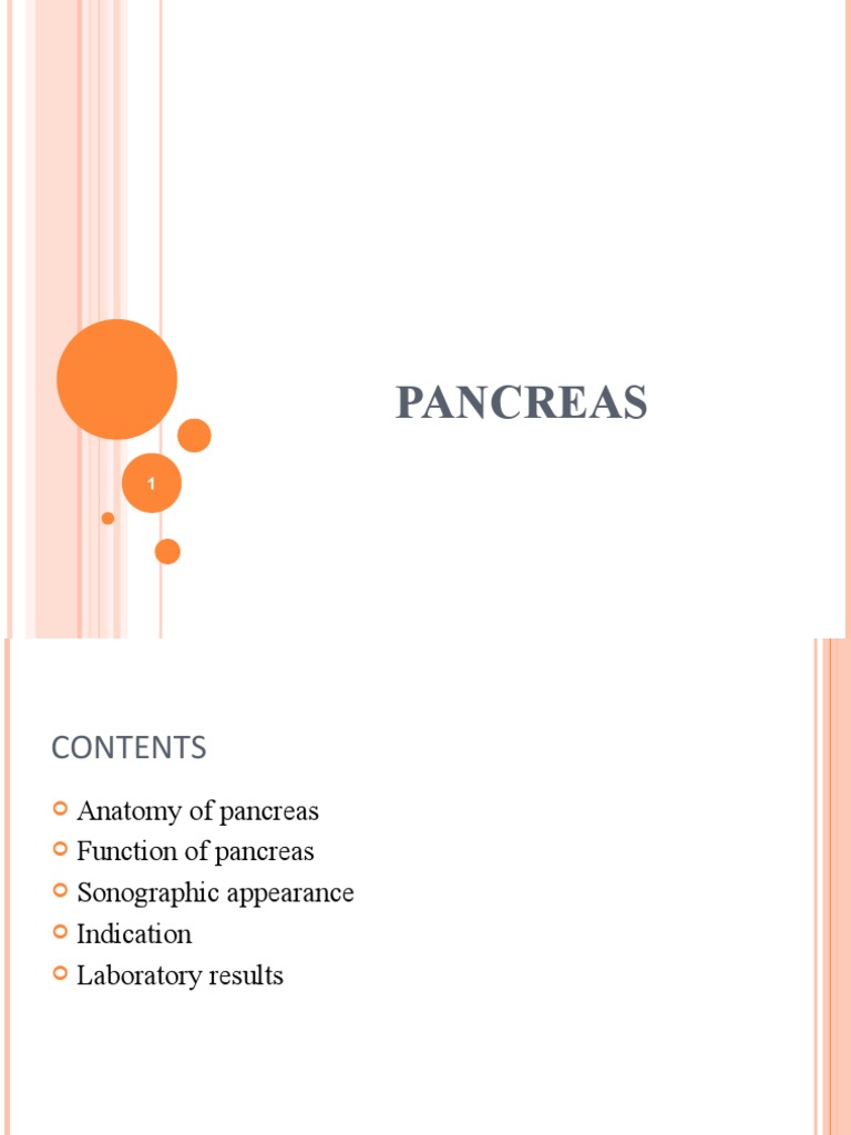 2 Pancreas Anatomy | Download Free PDF | Pancreas | Organ (Anatomy)