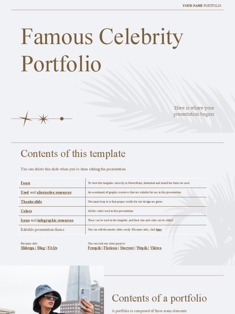 Celebrity Portfolio Template Guide | PDF | Graphic Design | Icon ...