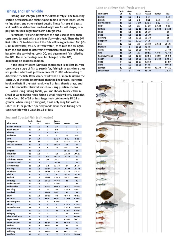 Fishing Draft 1 | PDF | Fish | Aquatic Animals