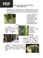 Halamang Dahon | PDF