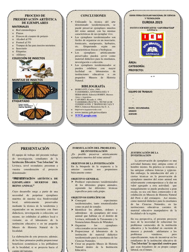 Triptico Fencyt 2023 | PDF | Science