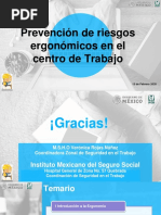 Norma Oficial Mexicana Nom-036-1-Stps-2018 | PDF | Factores humanos y ...