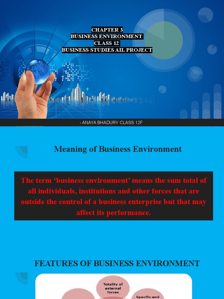 Business Environment Class 12 Business Studies Chapter 3 | PDF | Market ...