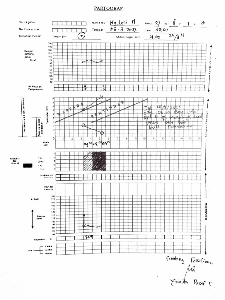 Partograf | PDF