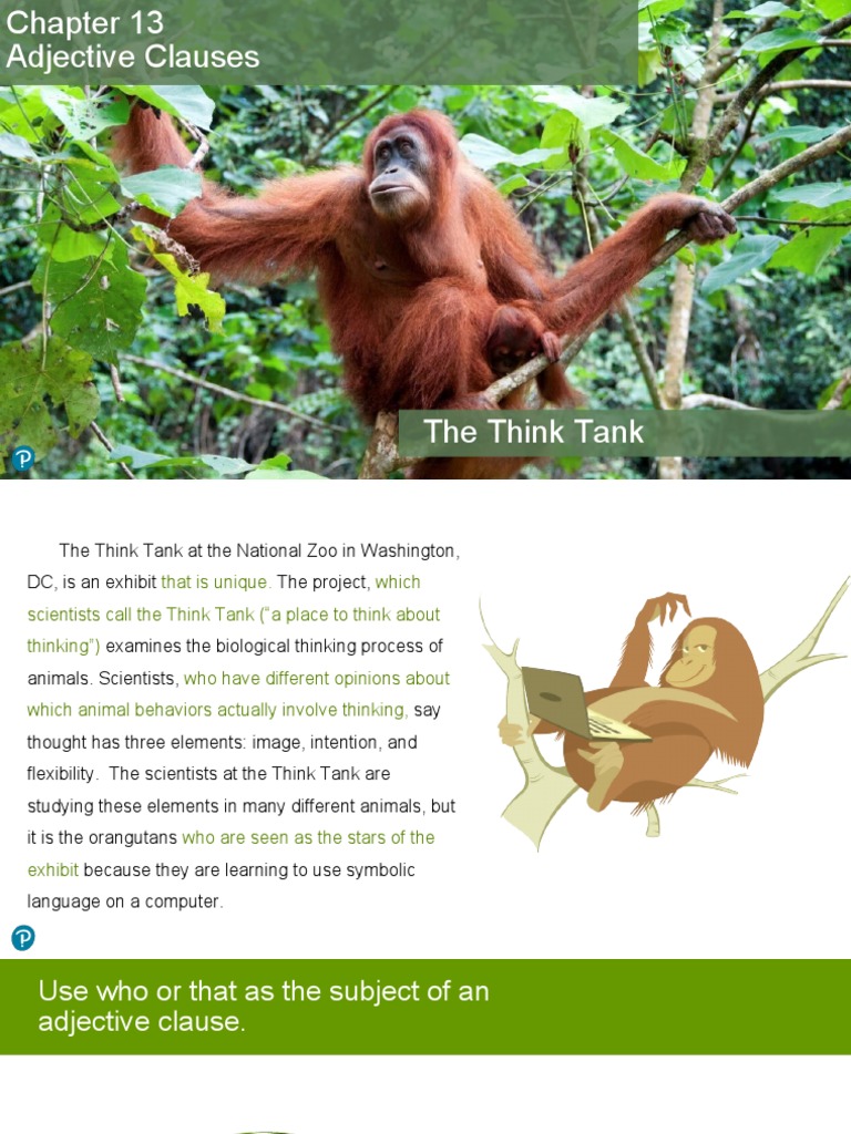 UUEG Chapter13 Adjective Clauses | PDF | Thought | Zoo