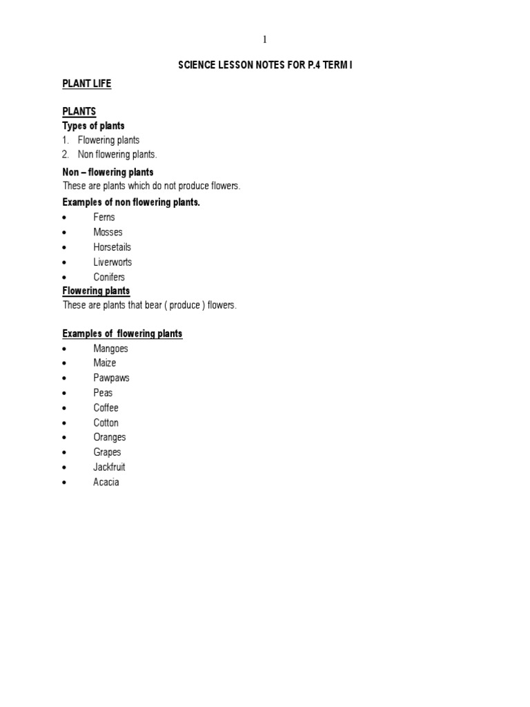 p.4 Science Lesson Notes | Download Free PDF | Leaf | Seed