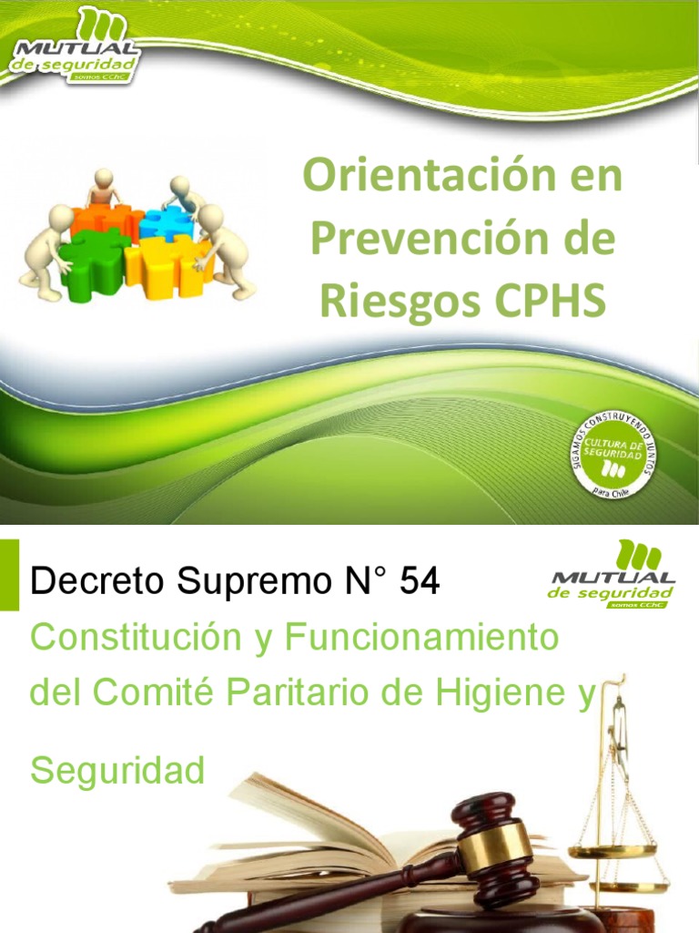 1 CPHS Cencosud 1 Constitucion y Funcionamiento | PDF | Business