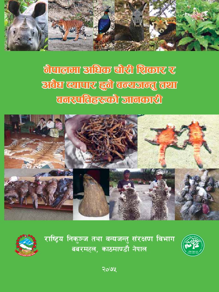 Banyajantu Book | PDF | Panthera | Deer
