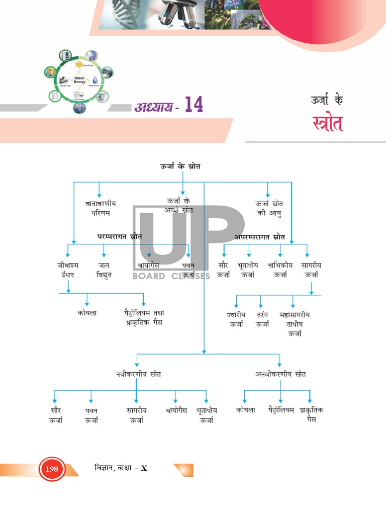 Lesson 14 Science Notes | PDF