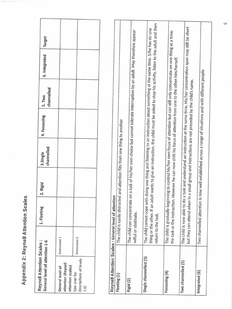 Reynell-Attention-Scale | PDF