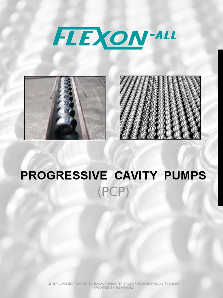 PCP Flexon Cat | PDF | Pump | Mechanical Engineering