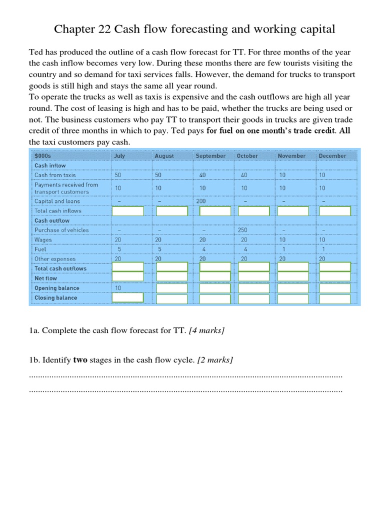 WS On Cash Flow Forecasting | PDF | Financial Economics | Money