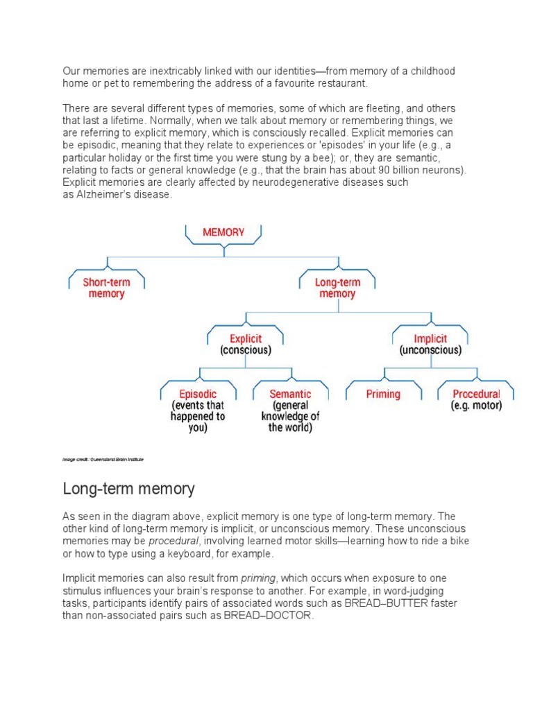 Memory | PDF