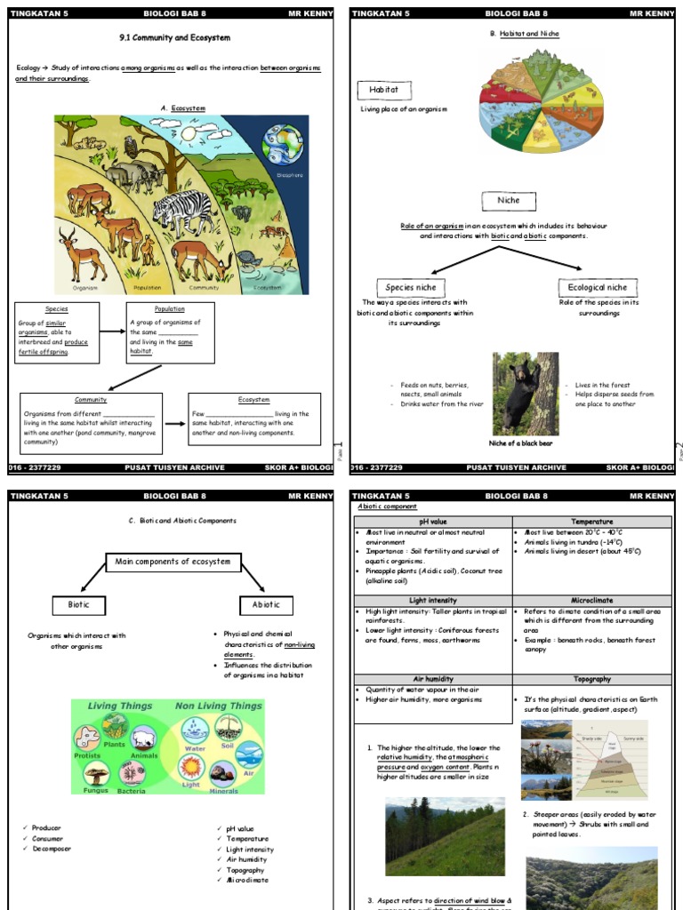 Form 5 Chapter 9 Notes | PDF | Food Web | Ecosystem