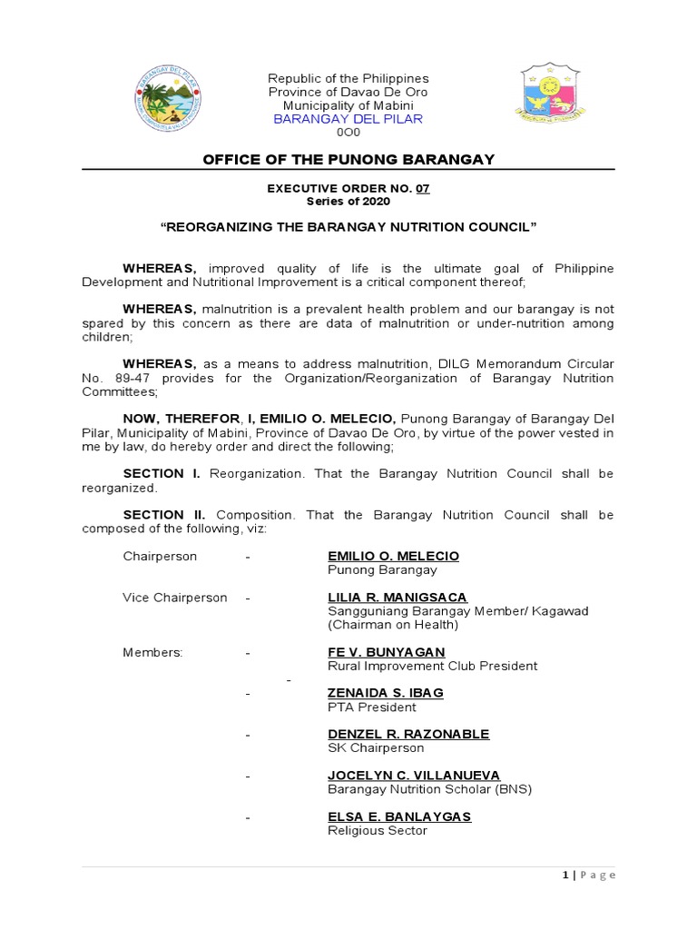 Executive Order No. 07 - BNC | PDF