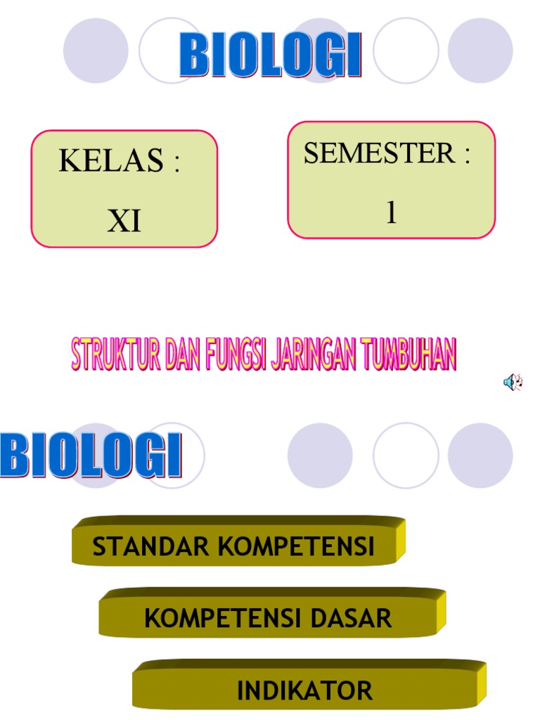 Struktur dan Fungsi Jaringan Tumbuhan | PDF | Sains & Matematika ...