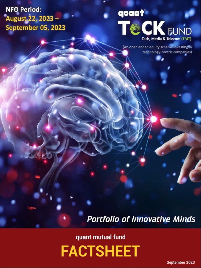 Quant Factsheet September 202 | PDF | Investing | Risk