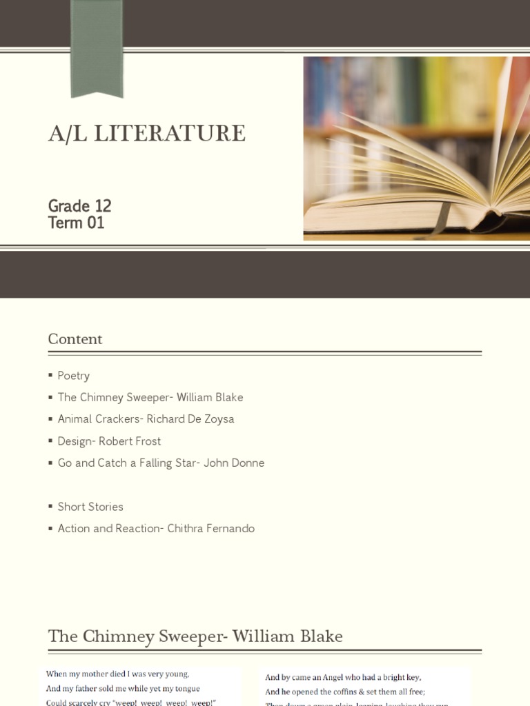 AL Lit Grade 12term 01 | PDF