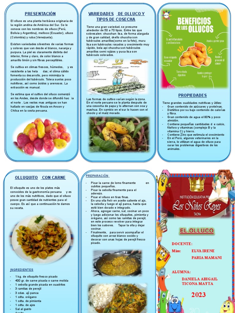 Triptico El Olluco | PDF